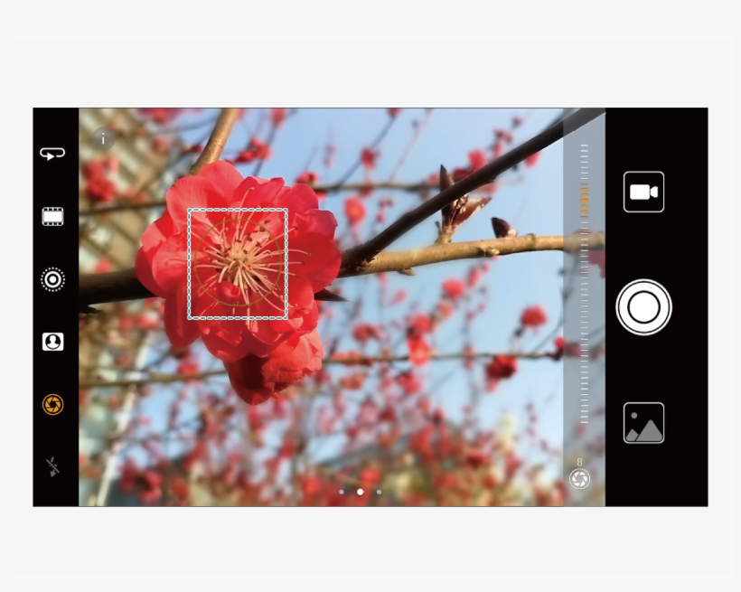 Wide Aperture - Free Transparent PNG Download - PNGkey