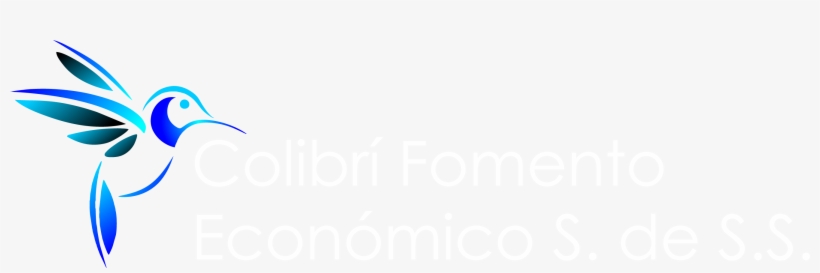 Logo Colibri - Logo - Free Transparent PNG Download - PNGkey