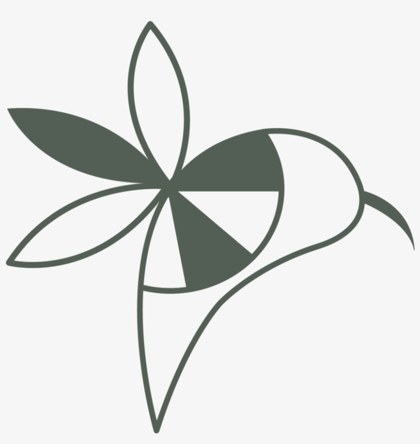 Colibri Web Deliverables-06 - Design - Free Transparent PNG Download ...