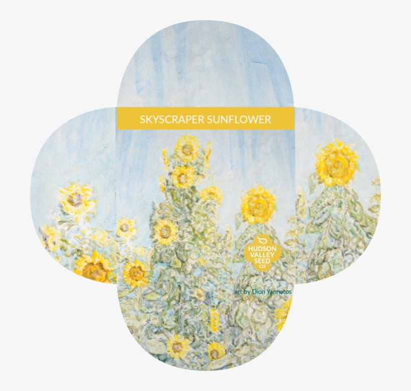 Skyscraper Sunflower - Henry Field's Seed & Nursery Company Skyscraper ...