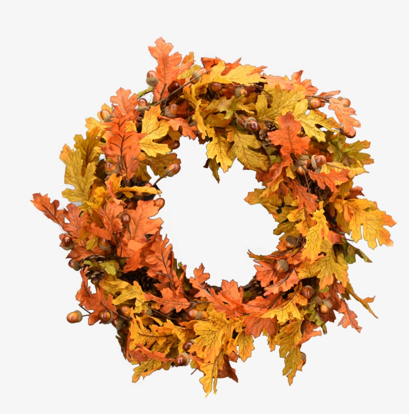 Image - Autumn - Free Transparent PNG Download - PNGkey