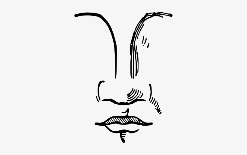 Nose Png File - Nose - Free Transparent PNG Download - PNGkey
