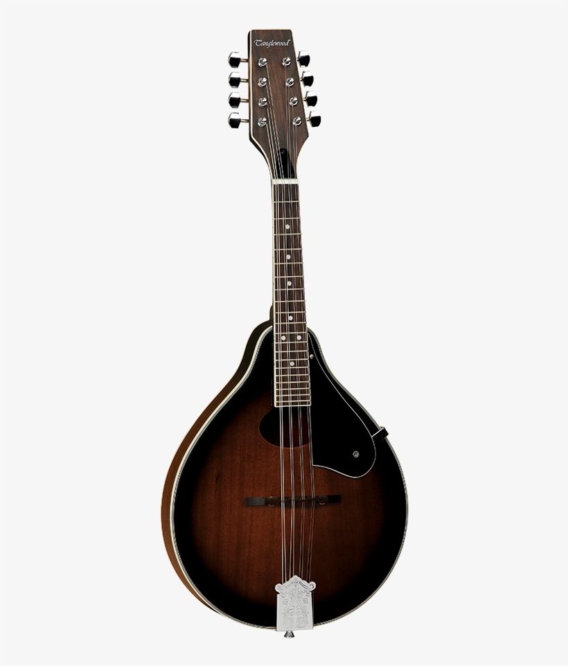 Mandolin Twmosvsg - Rogue Mandolin - Free Transparent PNG Download - PNGkey