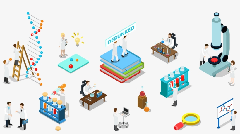 Myth And Misconceptions Infographic - Infographic - Free Transparent ...