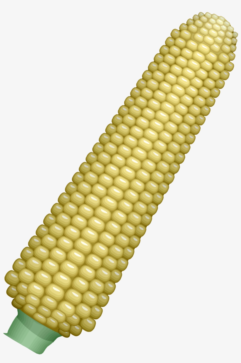 Ear Of Corn Vector Clipart Image - Maize - Free Transparent PNG ...