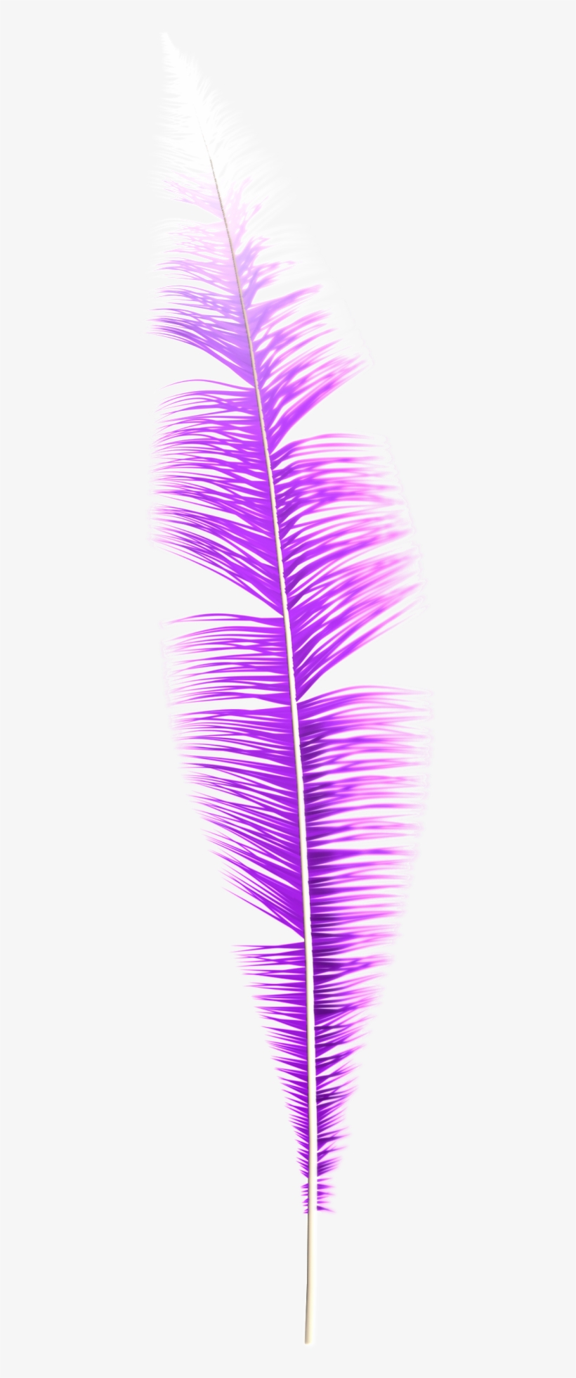Dream Feather Png - Grass - Free Transparent PNG Download - PNGkey