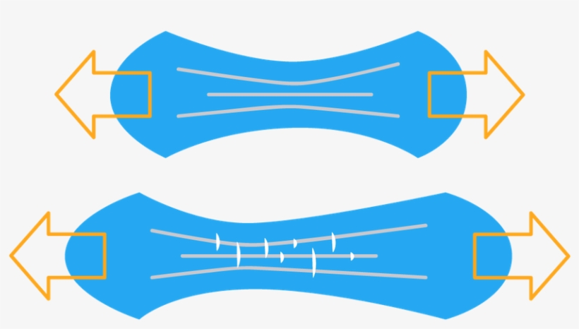 Tear Strength - Thermal Deformation 3d Printing - Free Transparent PNG ...