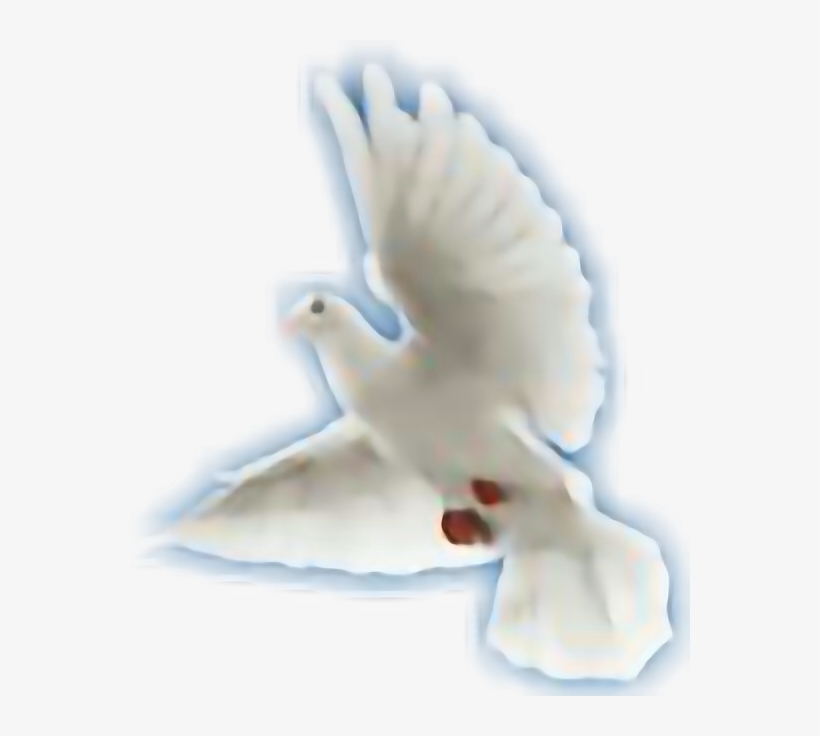 Holy Spirit - Free Transparent PNG Download - PNGkey