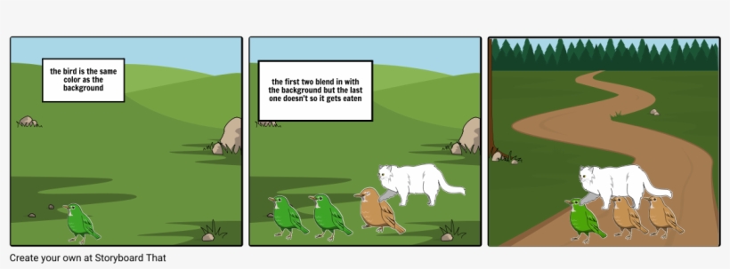 Natural Selection Clipart