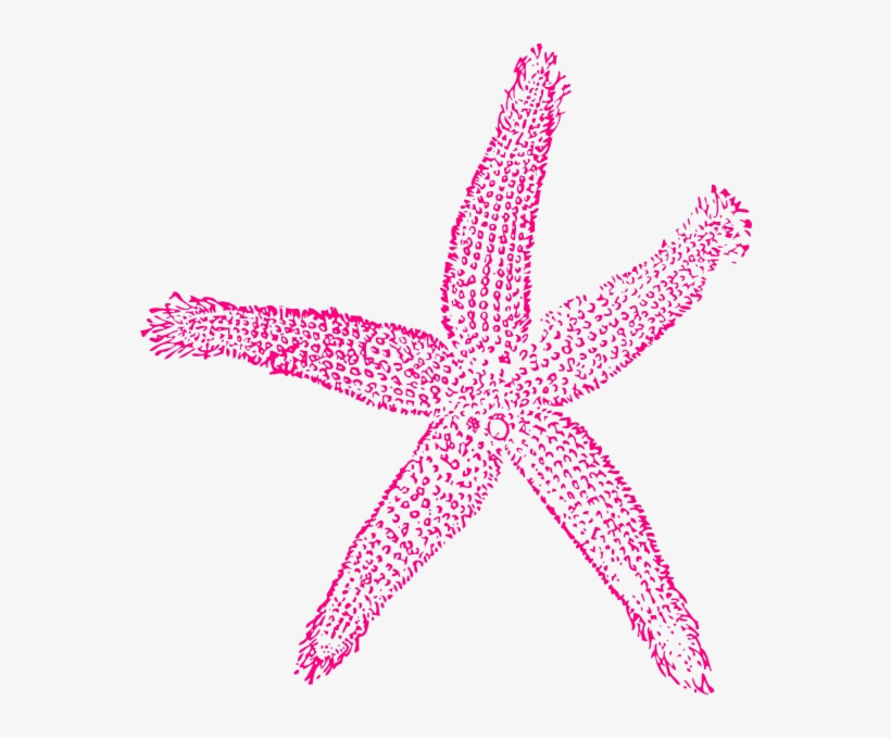 Starfish Clipart Hot Pink - Starfish Clip Art Pink - Free Transparent ...