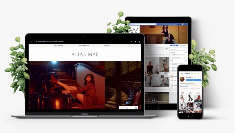 Alias Mae - Website - Free Transparent PNG Download - PNGkey