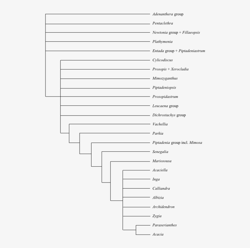 Phylogeny Of Fabaceae Based On Dna Sequence Data (lpwg - Document ...