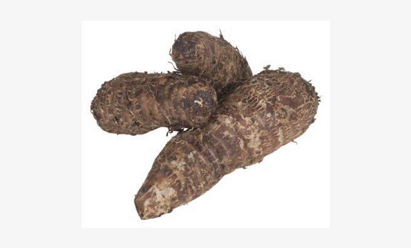 Fresh Yam - Wild Yam - Free Transparent PNG Download - PNGkey