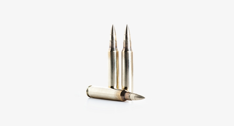 For Snipers And Marksmen Worldwide Who Demand Precision - Ammunition ...