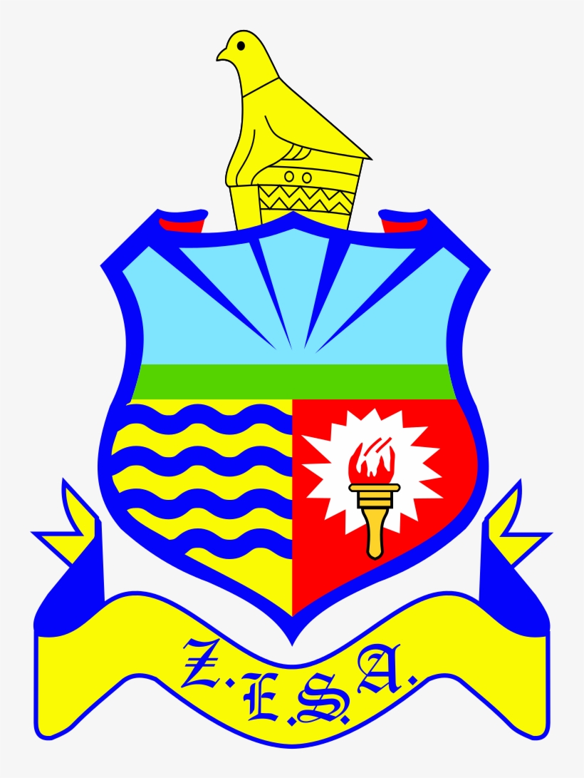 National Power Company Overview - Zesa National Training Centre - Free ...