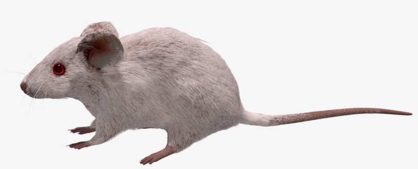 Open - Wikimedia Commons - Free Transparent PNG Download - PNGkey