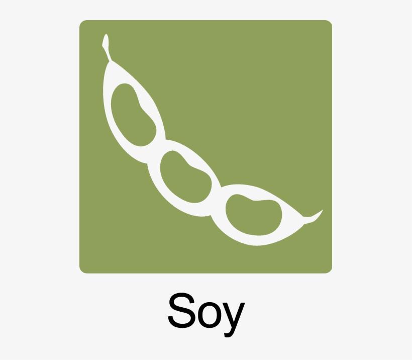 Soy Icon - Soy Allergen Symbol - Free Transparent PNG Download - PNGkey