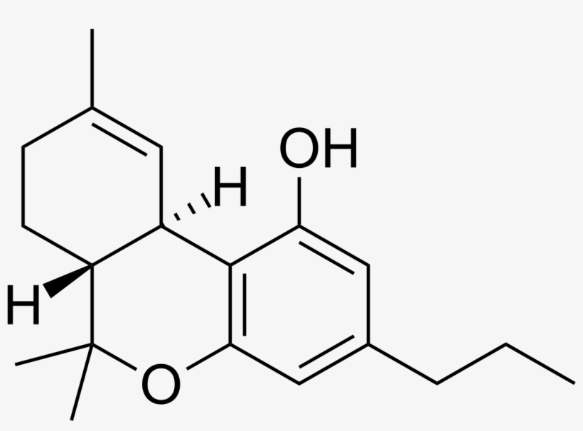 Research Suggests That This Cannabis Molecule May Help - Thc Structure ...