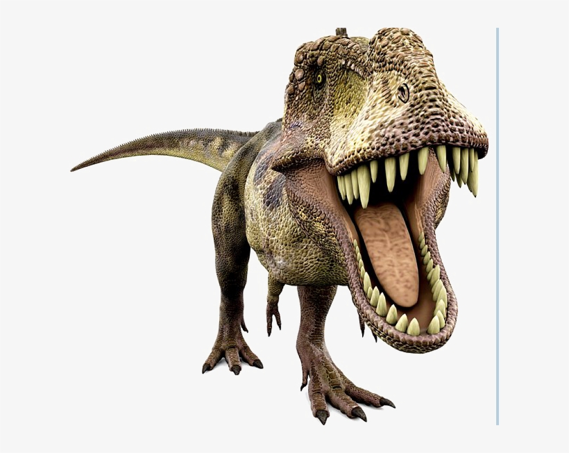 Dinosaur Transparent - Tin Set Discover Dinosaurs - Free Transparent ...