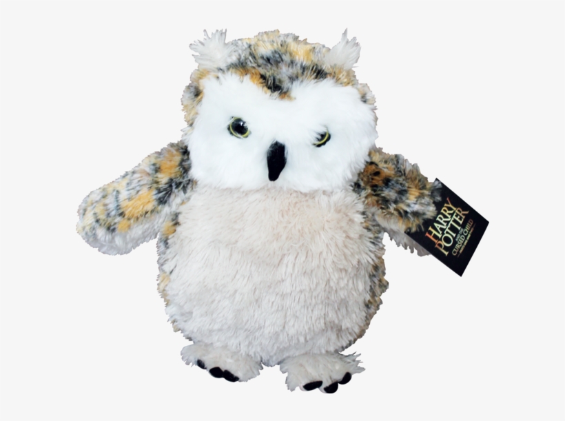 Cursed Child Owl Plush - Free Transparent PNG Download - PNGkey