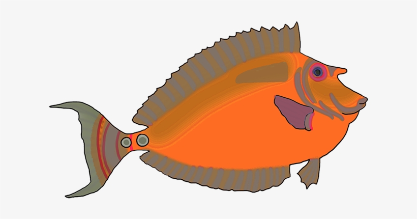 Colorful Blue Green Fish - Color - Free Transparent PNG Download - PNGkey