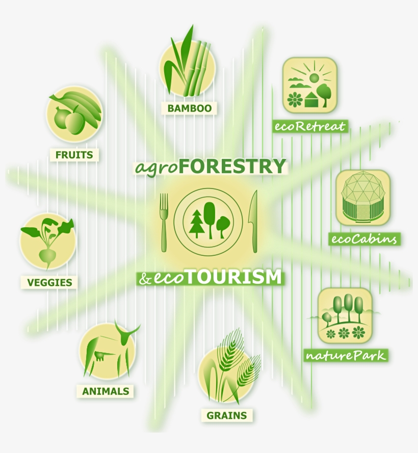 Regenerative Agriculture, Agroecology And Agroforestry - Bamboo Forest ...