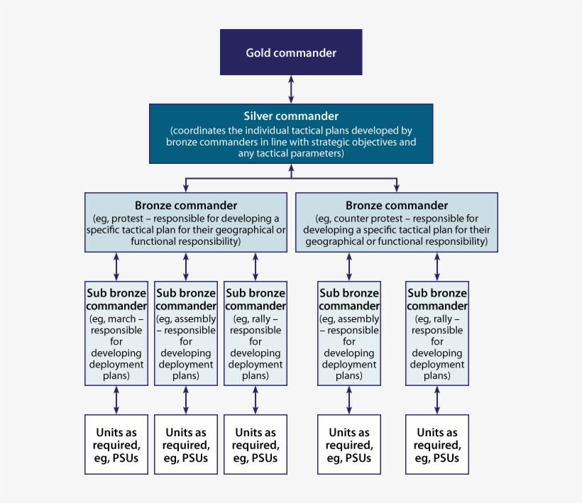 Diagram Showing An Example Command Structure Diagram - Bronze - Free ...