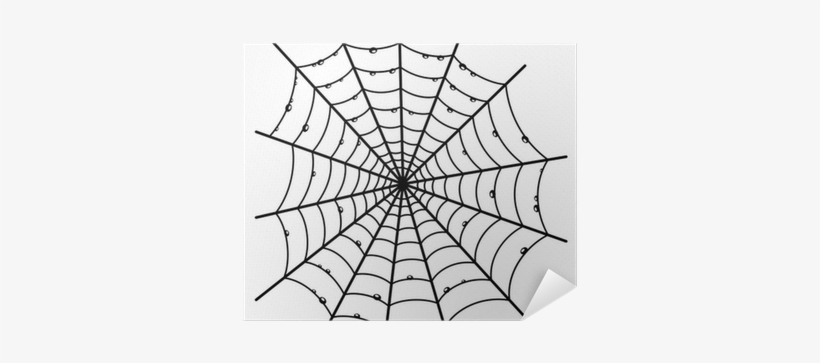 Darice 1219-215 Embossing Folder Spider Web Paper Craft - Free ...