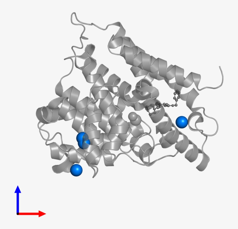 pdb Entry 3d3p Contains 3 - Bead - Free Transparent PNG Download - PNGkey