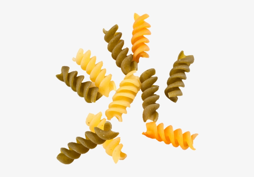 Fusilli Tri-color Shape - Photography - Free Transparent PNG Download ...