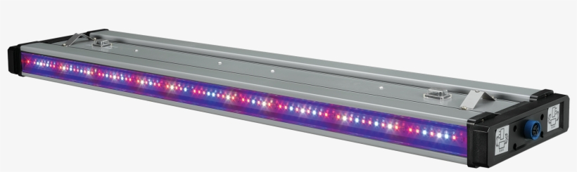 Grow - Light - Free Transparent PNG Download - PNGkey