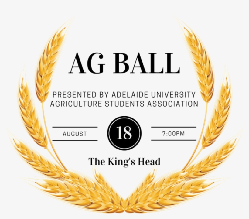 Ag Ball - Wheat Clipart Transparent Background - Free Transparent PNG ...