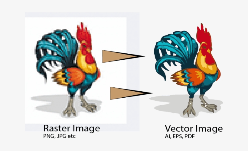 Vectorise Or Vector Trace Your Logo - Rooster Don't Get Cocky Beach ...