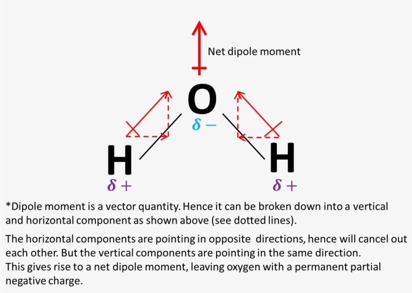 H2o Net Dipole Moment - Momento Dipolar Del Agua - Free Transparent PNG ...