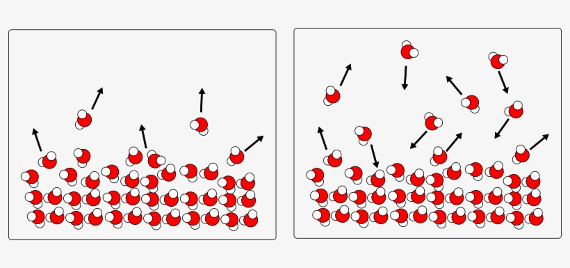 Dynamic Equilibrium Between Liquid And Vapor Water - Water Vapor ...