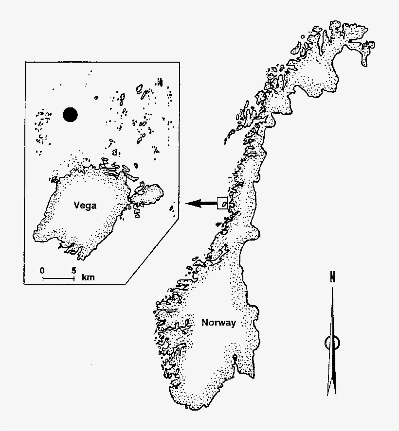 Map Of Study Area - Diagram - Free Transparent PNG Download - PNGkey