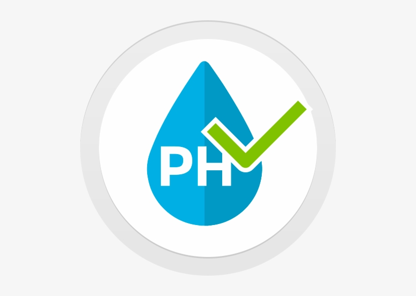 Healthy Ph Balance - Circle - Free Transparent PNG Download - PNGkey