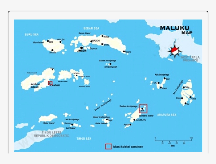 Location Map Of C - Maluku Map - Free Transparent PNG Download - PNGkey