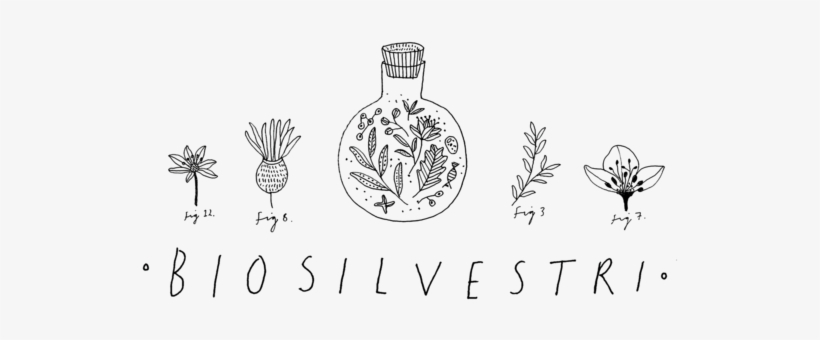 Jan 23, - Free Transparent PNG Download - PNGkey