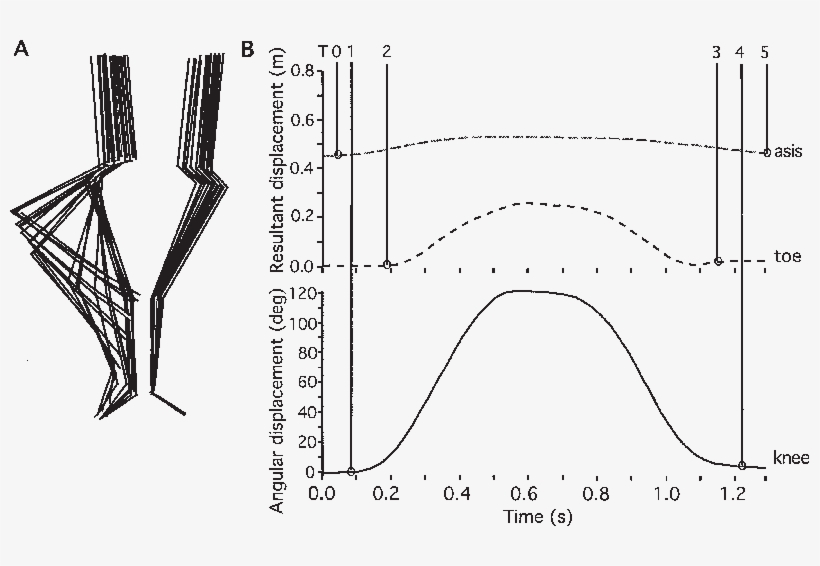 Stick Figure And Passé Movement Profile Of A Representative - Running ...