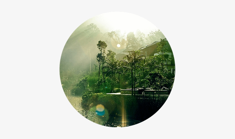 Forest Park And Crafted Landscape - Forest Circle Png - Free ...