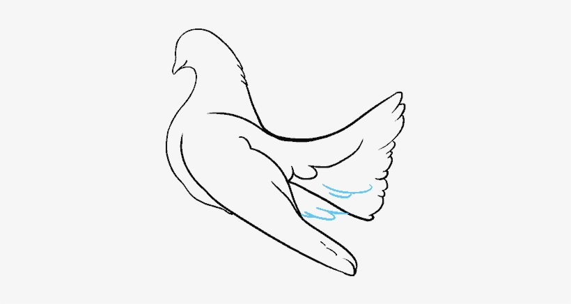 How To Draw Dove - Sketch - Free Transparent PNG Download - PNGkey