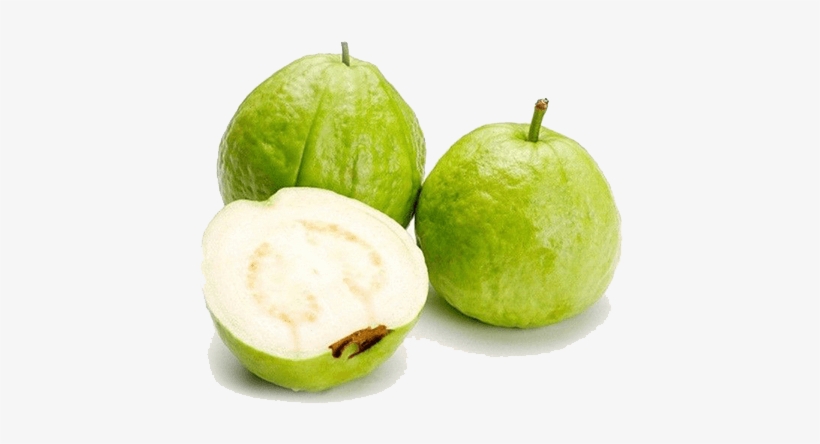 Guava White - Free Transparent PNG Download - PNGkey