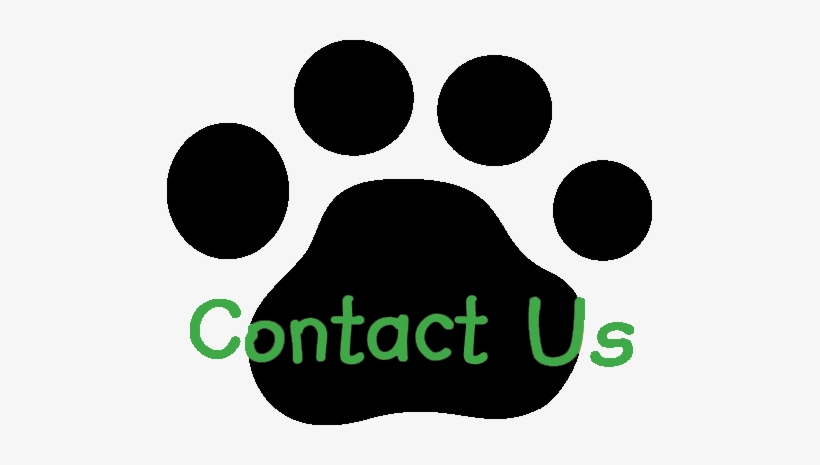 Contact Us Paw Print - Circle - Free Transparent PNG Download - PNGkey