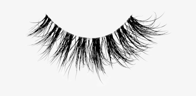 Eyelash - Free Transparent PNG Download - PNGkey