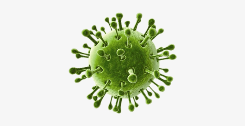 Virus - Free Transparent PNG Download - PNGkey