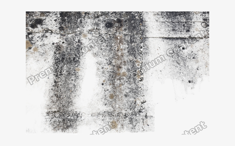 Dirty Decals - Texture Mapping - Free Transparent PNG Download - PNGkey