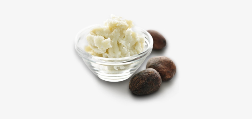 Shea Butter Png - Shea Butters - Free Transparent PNG Download - PNGkey
