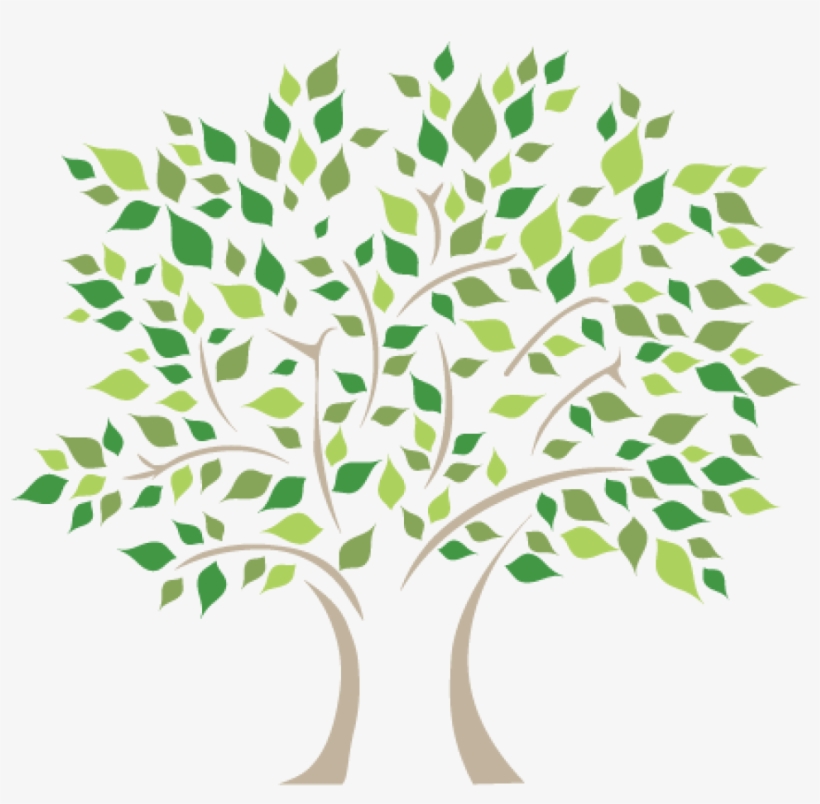 Cropped Tree Summer - Wessex Primary School - Free Transparent PNG ...