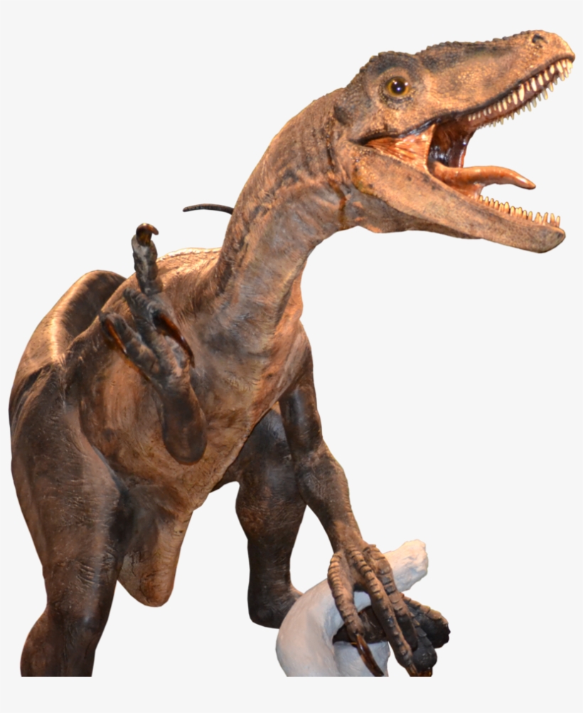 Raptor Png Vector Download - Velociraptor - Free Transparent PNG ...